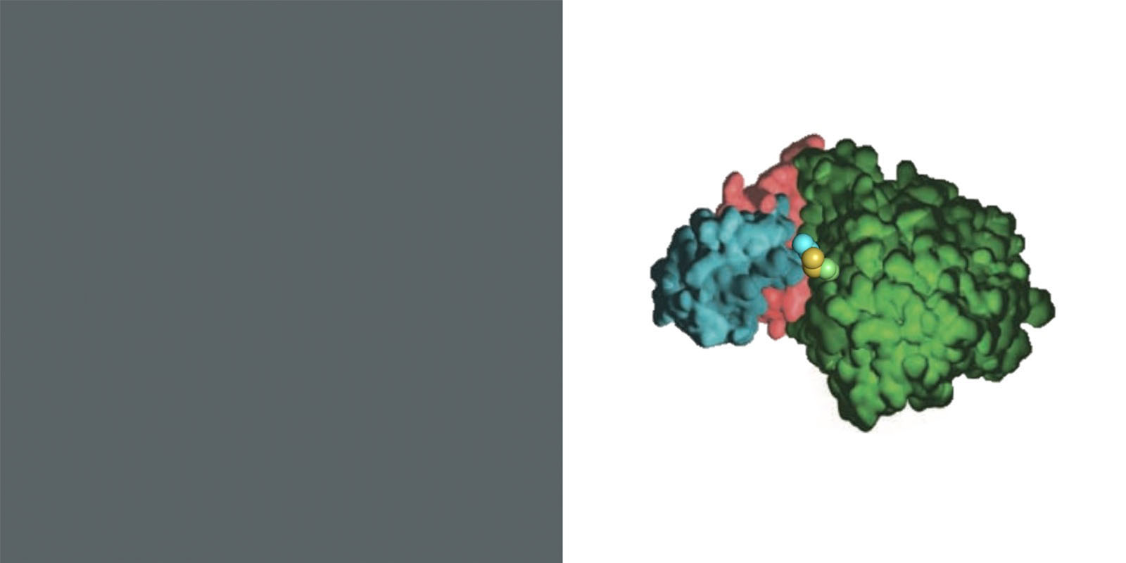 Autonomous Medical Devices Incorporated